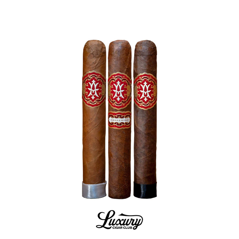 Avowed Awakening Rhapsody Sampler — One Blend, Three Era-Spanning Wrap ...