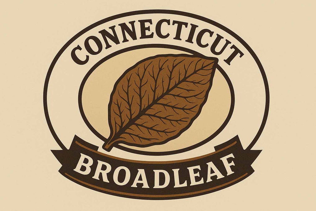 What is Connecticut Broadleaf? – Luxury Cigar Club