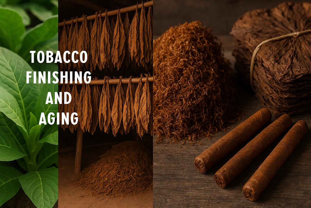 How Does Curing, Fermentation and Aging Transform Tobacco – Luxury ...